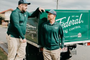 Termite Treatments | Fedpest